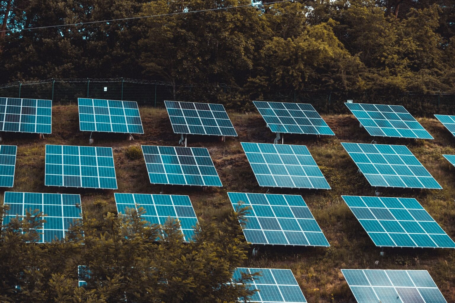 3 Main Types of Solar Farm: How Do They Work? – Solair World